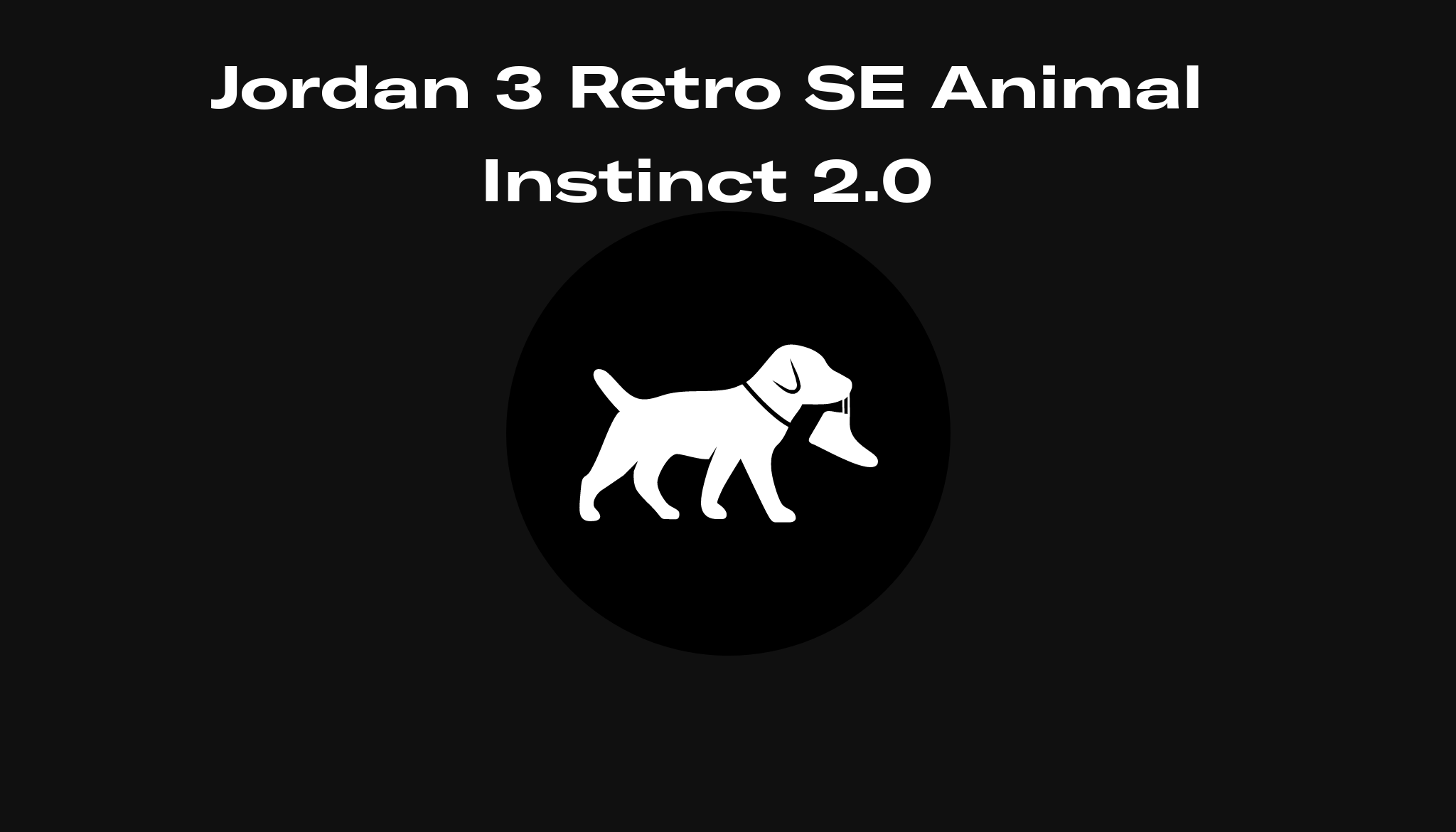 Jordan 3 Retro SE Animal Instinct 2.0, Raffles and Release Date | Sole ...